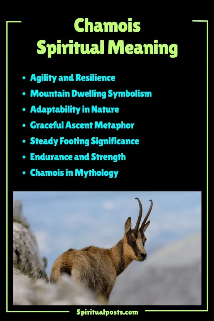 Chamois Spiritual Meaning: Agility, Mountain Survival & Balance ...